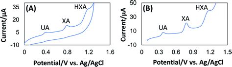 Detection Of Xanthine In Food Samples With An Electrochemical Biosensor