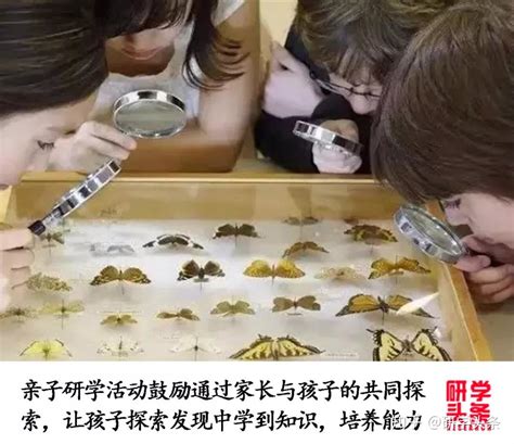 全民教育时代看亲子教育 研学基地如何融合 知乎