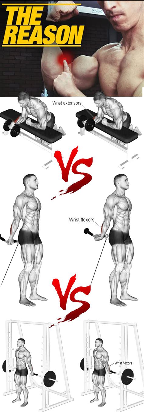 HOW TO FOREARM CURLS VIDEO GUIDE