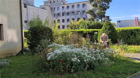69 recenzije Bolnica Rebro Liječnik u Zagreb Grad Zagreb