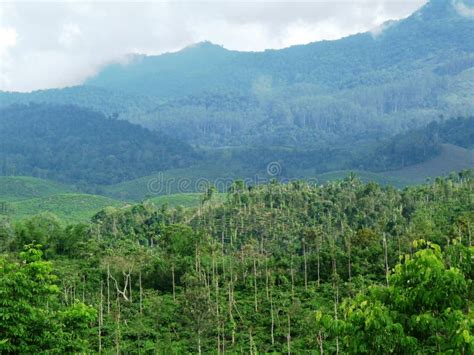 Nature Landscape Stock Image Image Of Gods Kerala Nature 41501627