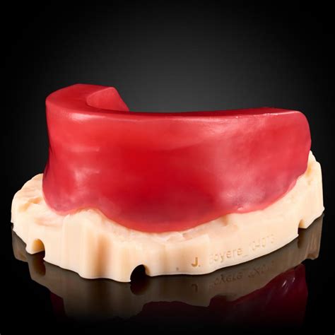 Bite Block Xdent Lab