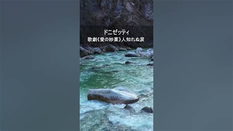 ドニゼッティ：歌劇《愛の妙薬》人知れぬ涙 Shorts Youtube