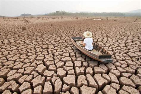 Olas De Calor Sequías Inundaciones Y Hambre — Ecologica