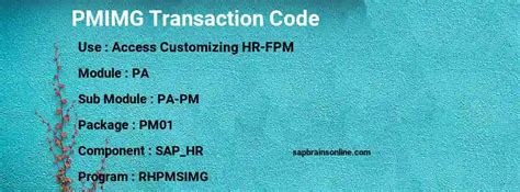 Pmimg Sap Tcode For Access Customizing Hr Fpm