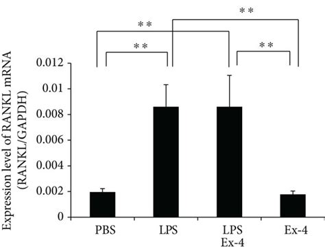 Exendin 4 Had No Effect On Rankl Induced Osteoclast Formation