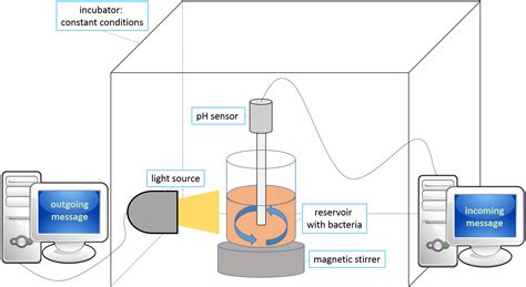 Molecular Communications Microbiology
