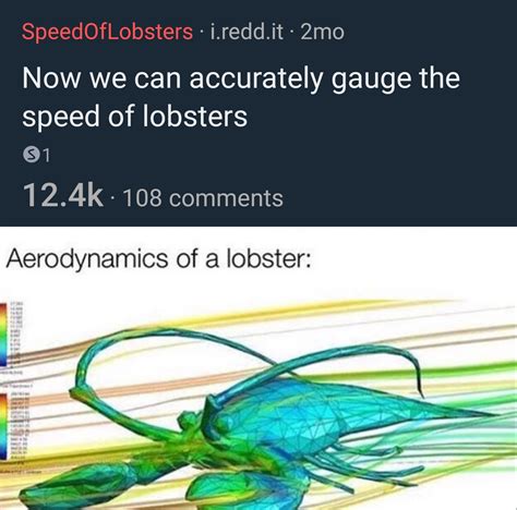 Sry If Repost Substakenliterally