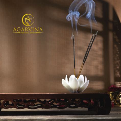 The Ideal Benefits Of Agarvina Agarwood Incense Tinh Hoa Trầm Việt