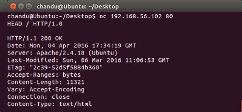 netcat the tcp ip swiss army knife open source for you