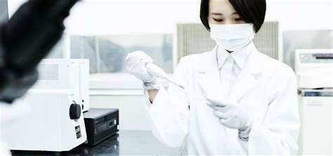 Cmc研究 研究開発体制 研究開発｜日東薬品工業株式会社