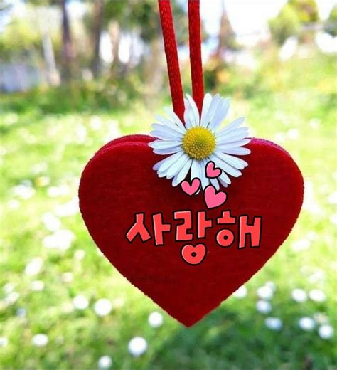 💕사복음서 356 왕에 대해 고조되는 배척 마11 1~16 12 왕의 제자 훈련 마16 13~20 28 배척 중의 계시 마16 1 매일의 성경 Band