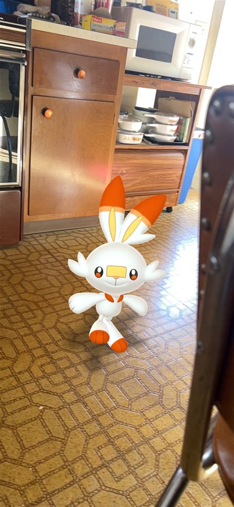 Pok Mon Irl Tumblr Communities