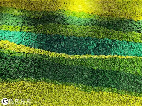 苔蘚植生牆 Moss Wall 傑群設計