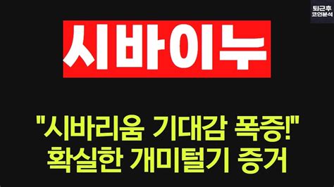 시바이누 코인 시바리움 기대감 폭증 확실한 개미털기 증거 시바이누코인 시바이누코인전망 시바이누코인분석 시바이누코인호재 Youtube
