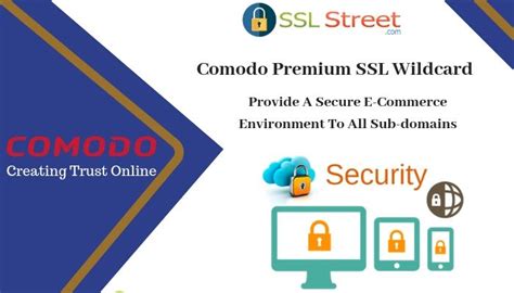 Get Premium SSL Wildcard Certificate And You Easily Can Secure Your