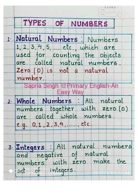 Solution Types Of Numbers Basic Mathematics Studypool