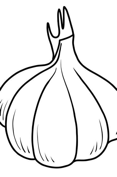 Ajo Para Colorear Dibujo Garlic Knoblauch Coloring Malvorlage Dibujos