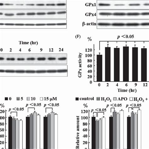 Cell Viability After 24 H Treatment With Apo And Other Toxins A