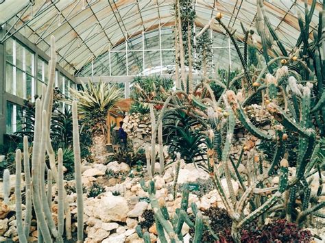 Premium Photo Plants Growing In Greenhouse