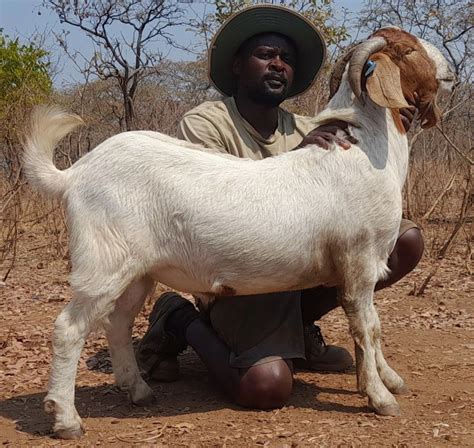 One Day Or Day 1 You Choose Terence Muripo