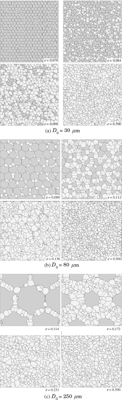 Figure From Multi Phase Field Model To Simulate Microstructure Evolutions During Dynamic