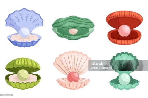 반짝이는 진주가 자리 잡은 복잡한 조개껍데기 세트 바다의 예술적 벡터 일러스트레이션의 자연의 경이로움 굴에 대한 스톡 벡터 아트 및 기타 이미지 Istock