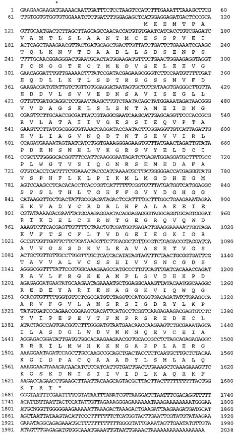 The Nucleotide Sequence And The Deduced Amino Acid Sequence Of The