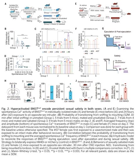 Science性行为的神经科学原理研究重磅突破中国科学家揭示射精后性满足的神经生物学机制 神经科学原理 生物学 射精 神经元 健康界 Science性行为的神经科学原理研究重磅突破中国科学家揭示射精后性满足的神经生物学机制 神经科学原理 生物学 射精 神经元 健康界