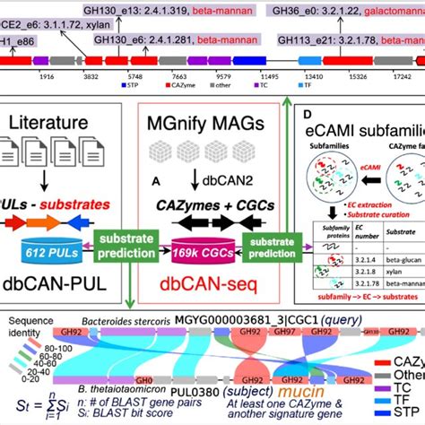 overview of the update of dbcan seq a four mag datasets of mgnify