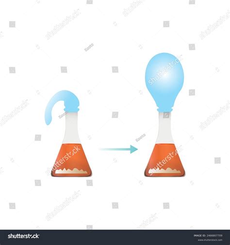 Yeast Respiration Experiment Scientific Design Vector Stock Vector