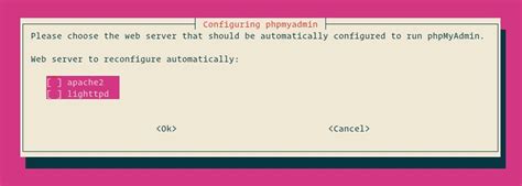 How To Install Phpmyadmin With Nginx On Ubuntu Server Qirolab