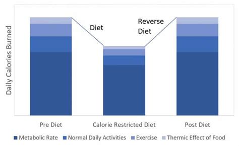 Reverse Dieting Step By Step Guide To Rebuild Metabolism