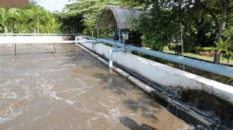 Sewage Treatment Plant Service Sewage Water Treatment Plant Service