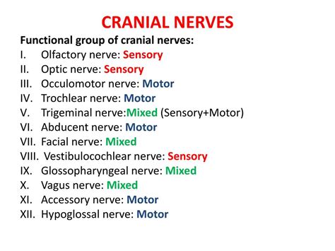 Cranial Nerves Mnemonic Function Labeled Names In Order 45 Off