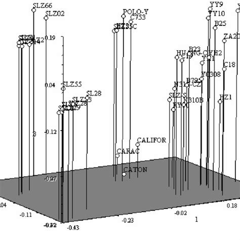 Principal Coordinates Analysis Of 40 Accessions Based On The
