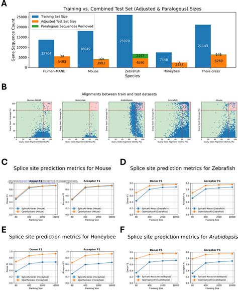 Openspliceai An Efficient Modular Implementation Of Spliceai Enabling Easy Retraining On Non