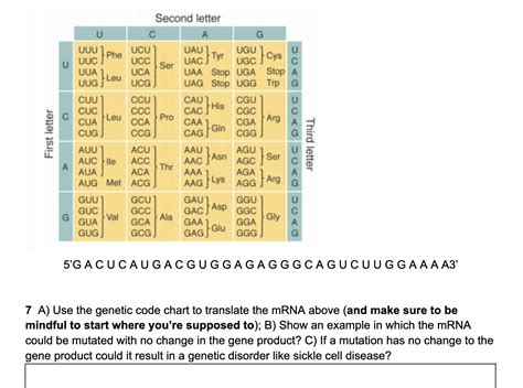 Solved 7 A Use The Genetic Code Chart To Translate The Mrna