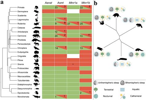 A Mutational Landscape Of Melatonin Synthesis And Signaling Genes Along