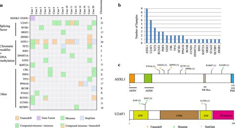 Specific Sequencing Data Of 20 Patients With Mds A Summary Of Mutation