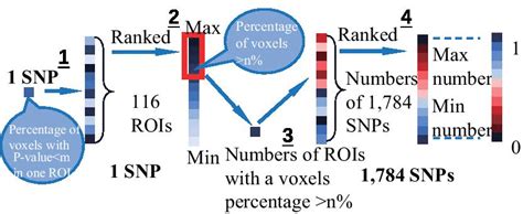 The Schematic Diagram Of Ranking Snps According To Number Of Covered