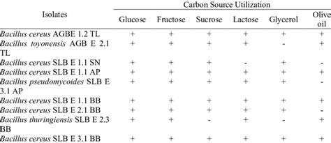 Carbon Source Utilization Of The Endophytic Bacteria Strains Download