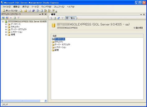 SQL Server Express の利用方法