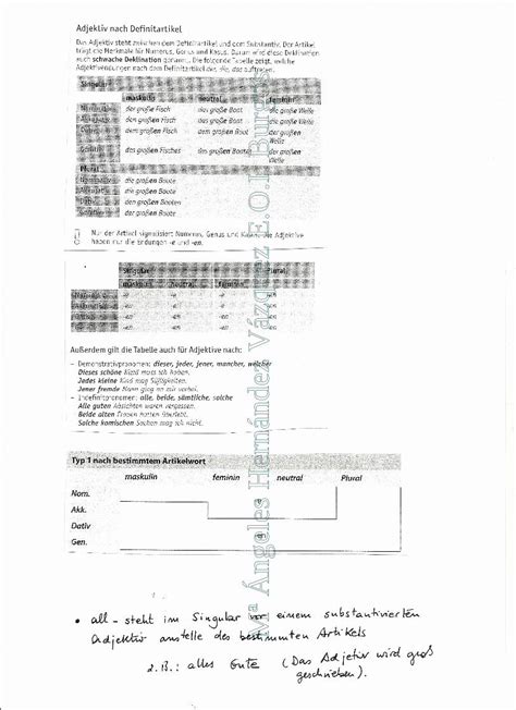 PDF Declinación de adjetivos teoría y ejercicios pdf DOKUMEN TIPS