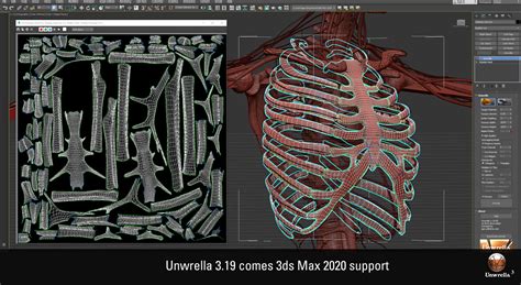 Updates Unwrella Automated Intuitive One Click Unwrapping
