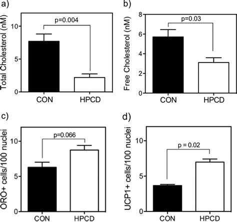 Depletion Of Cholesterol In Chow Fed Sko Satellite Cells By Hpcd Download Scientific Diagram
