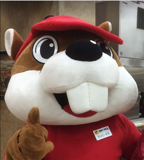 Ancient Beaver Fossil Named After Buc Ees