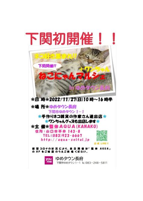 下関市で初開催！！1127日『ねこにゃんマルシェinゆめタウン長府』～ねこ好き集まれ♪ ｜ 山口市平井にある整体「aqua」