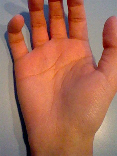 Palm Reading By Gothnebula On Deviantart