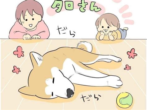 タロさんにお供えする娘「モフモフ柴とプニプニ娘」第9話（いぬのきもちnews）